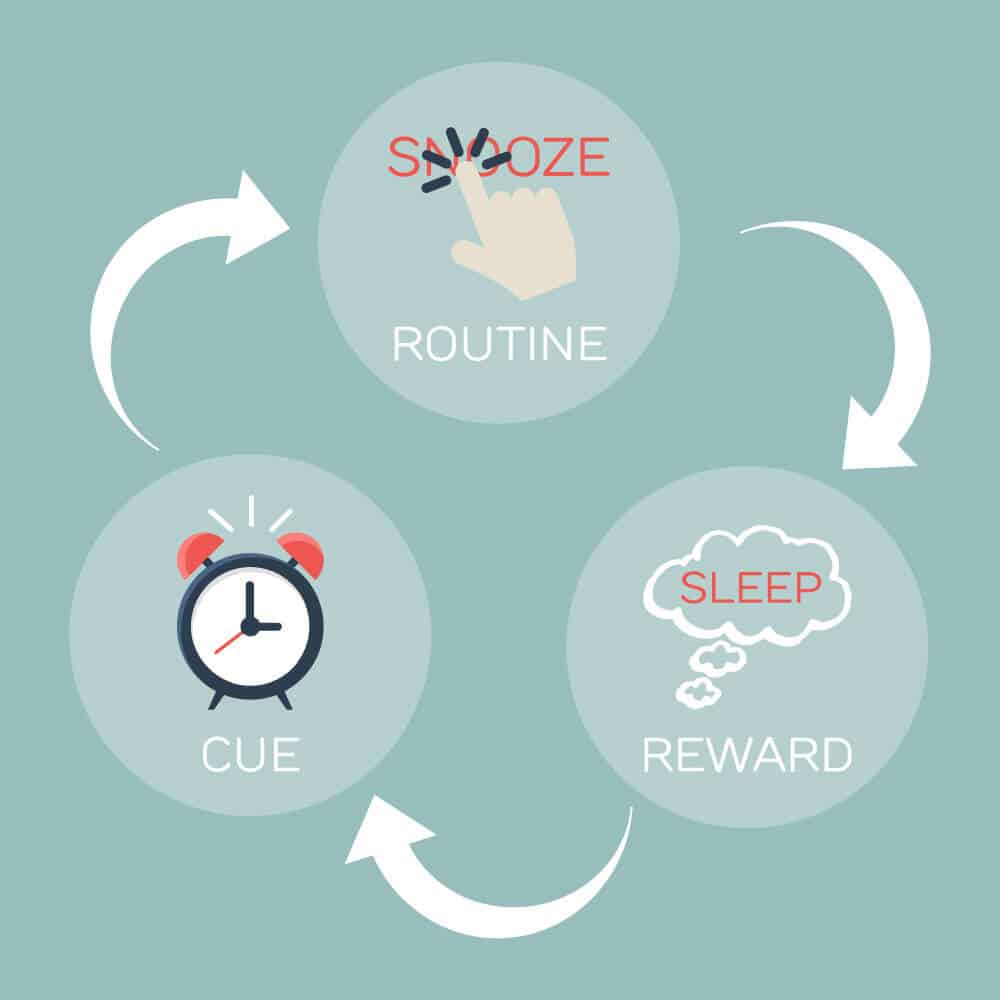 Habit-loop – 20 Fit