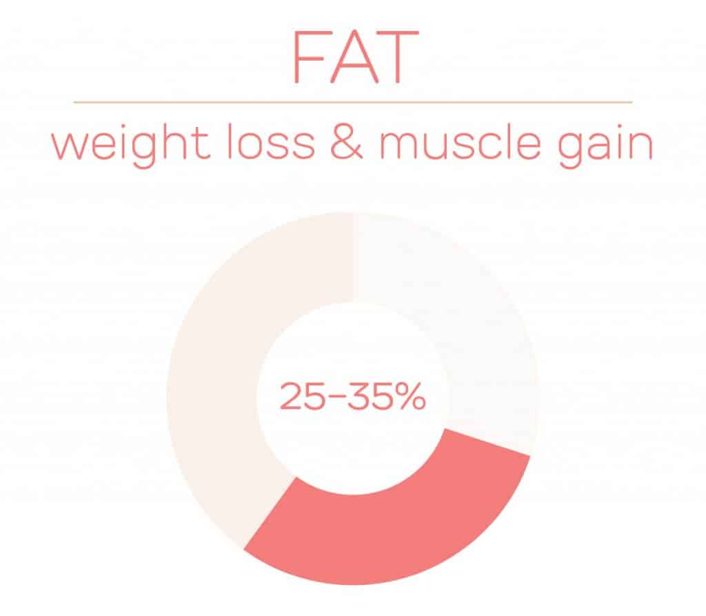 How to Calculate Your Ideal Macronutrients Intake – 20 Fit